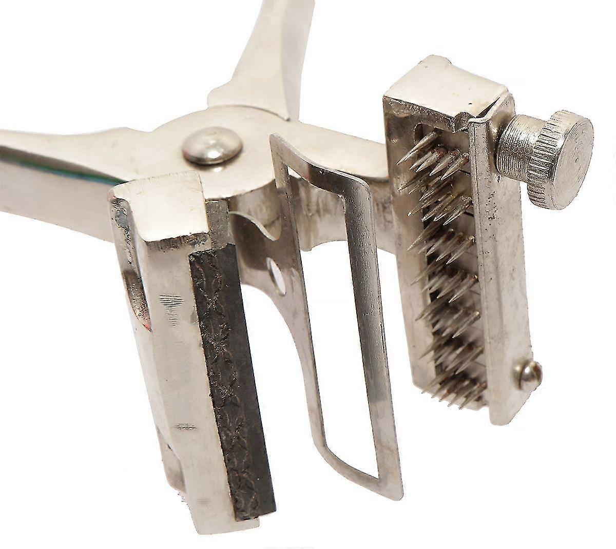 Small Pig, Rabbit, Dog, Cat Tattoo Plier Set - Animal Tattoo Tools for ...