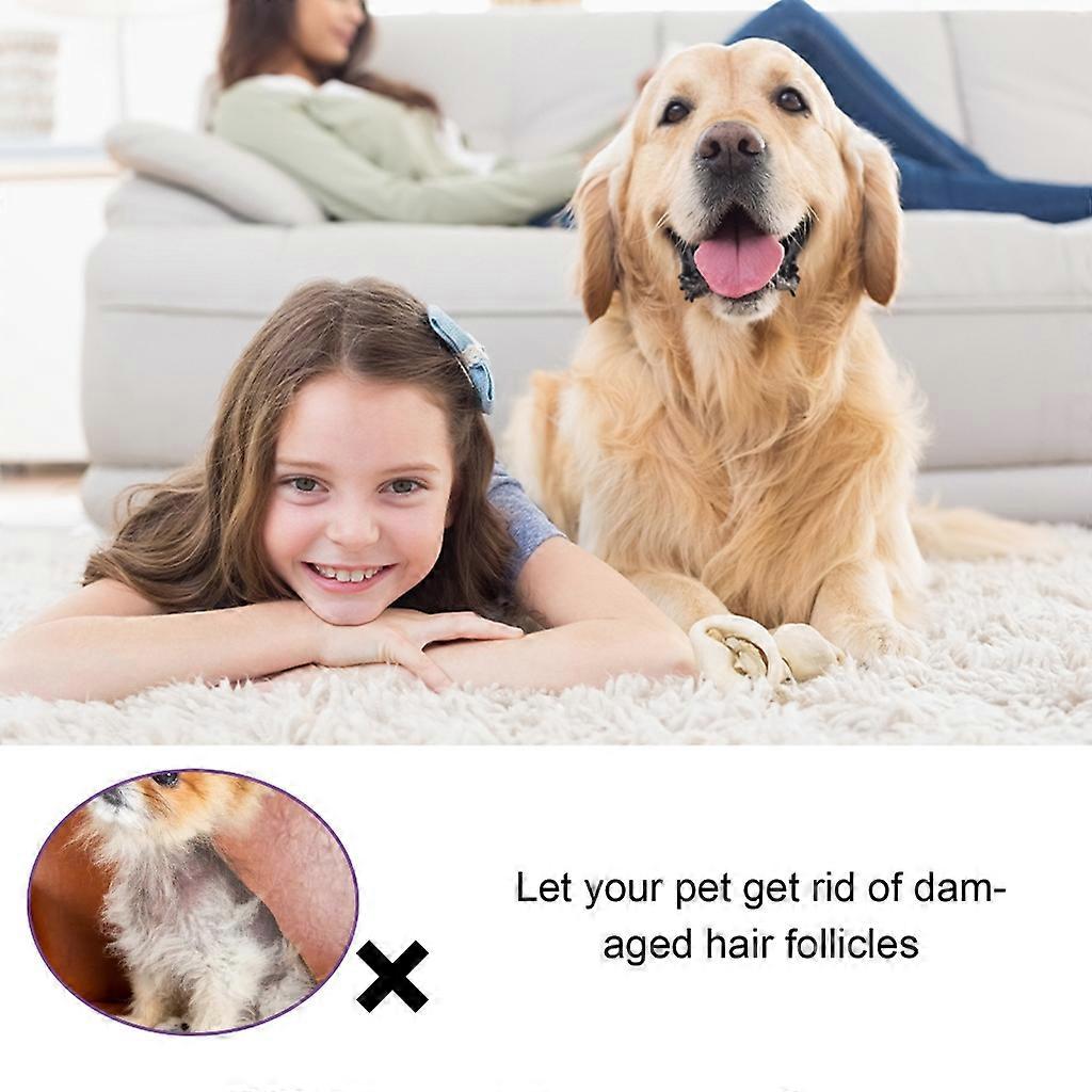 Dog Skin and Coat Health Supplements Liquid Spary Pet Hair Loss ...