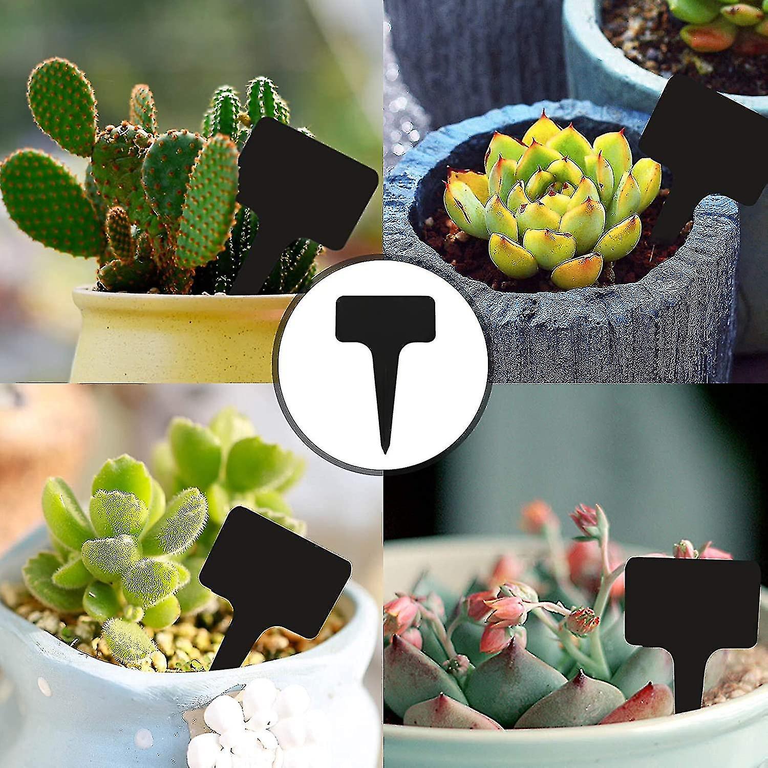 100pcs Plastic Plant Markers Labels T-type Label Tags Plant Sign Garden ...