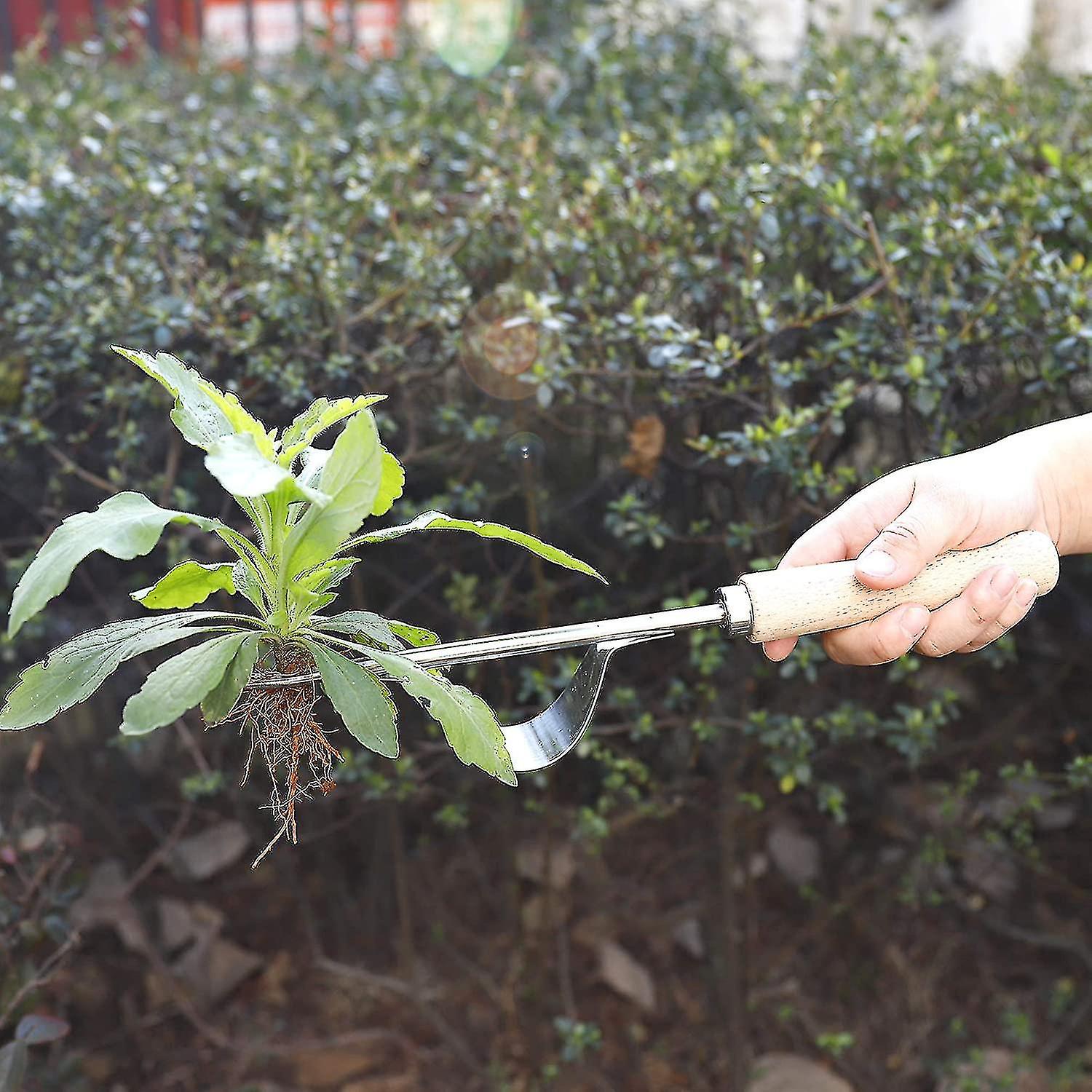 Manual Weed Killer Garden Stainless Steel Weed Tool With Wood Handle ...