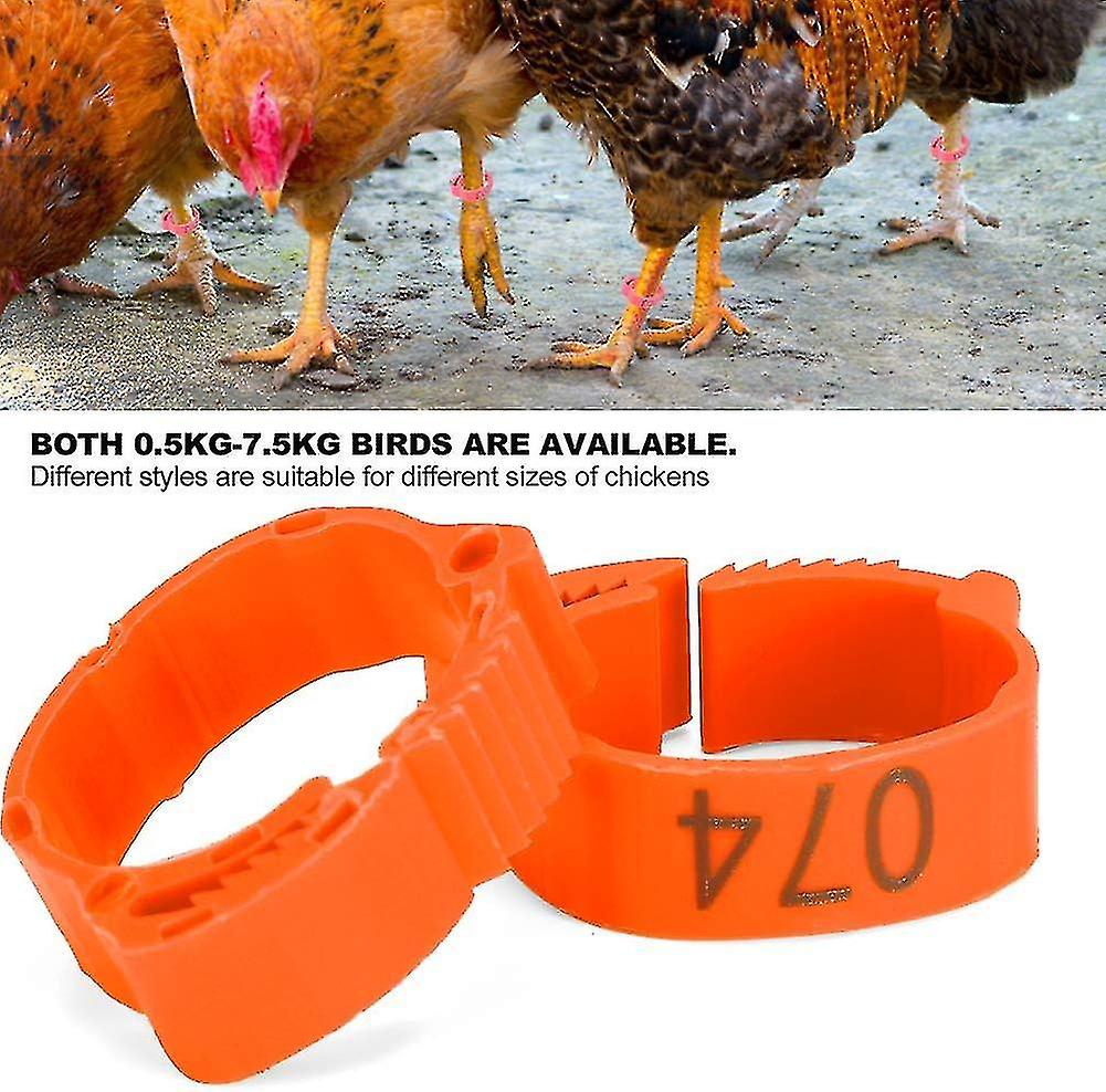 Poultry Foot Ring, 100pcs 001-100 Numbered Plastic Bird Leg Bands Rings ...