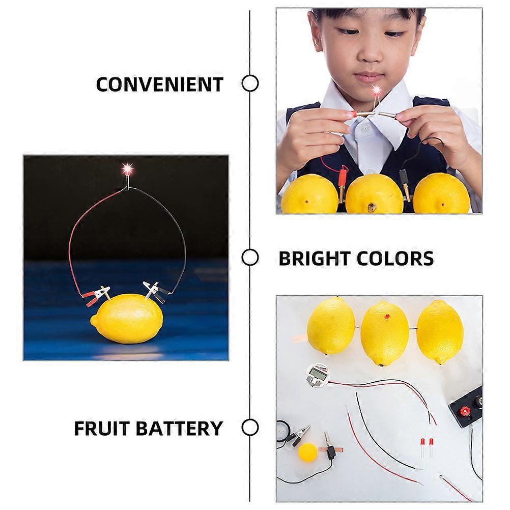 2 Sets of Scientific Experiment Fruit Battery Student DIY Fruit Battery ...