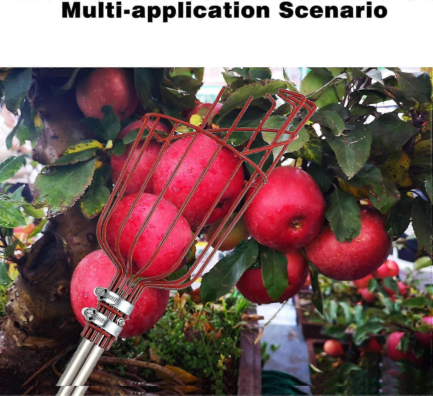 Fruit Picker Tool- Height Adjustable Fruit Picker With Big Basket ...