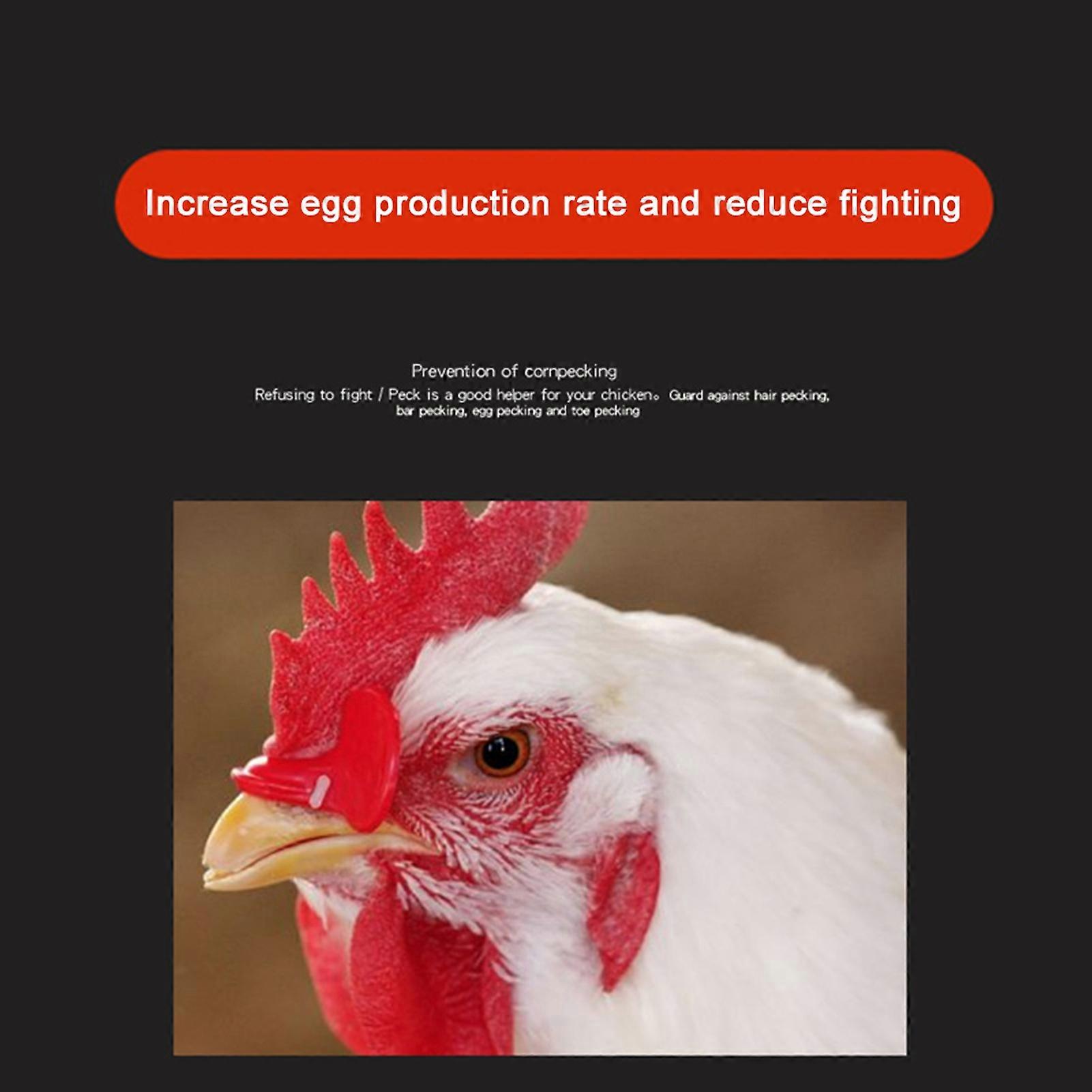 50/100Pcs Poultry Blinders with Pliers Anti-Pecking Plastic Pinless ...