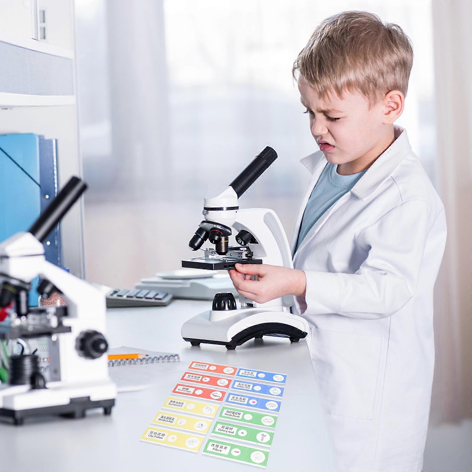 36 Pcs Toys Kids Plant Specimens Stereo Microscope Slide Plants Sample ...