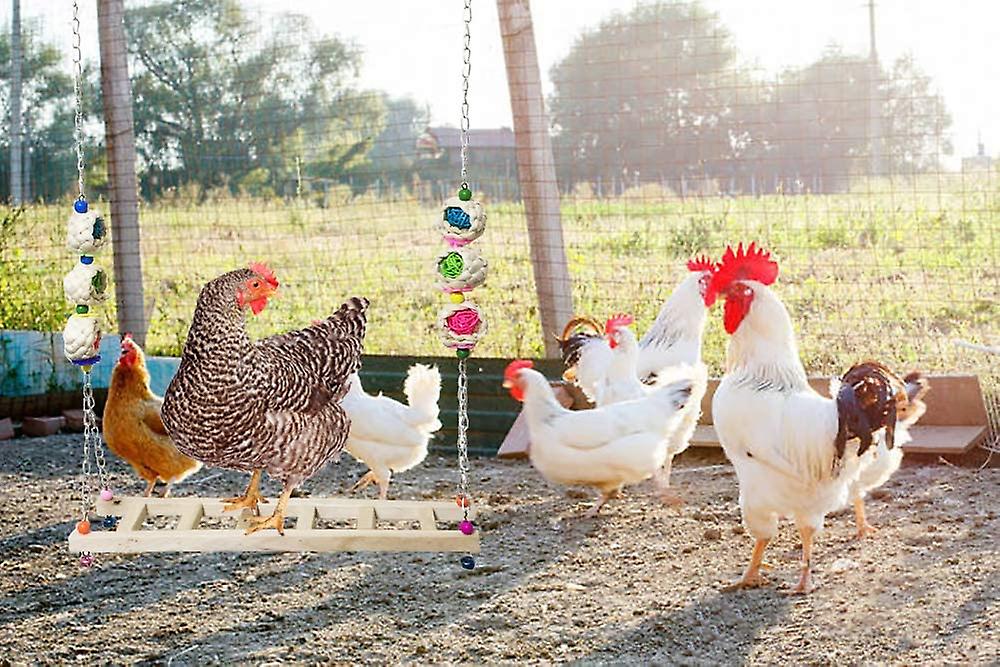 HeyteaChicken Ladder Swing Chicken Perch Chicken Wood Stand Chicken Toy ...