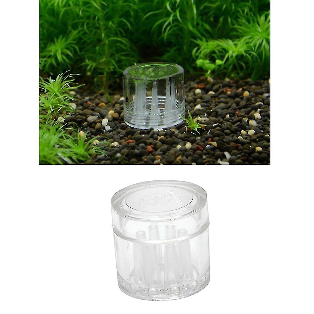 New Leech-trap For Aquarium 8 Holes Clear Acrylic Planaria Trap Leeches ...