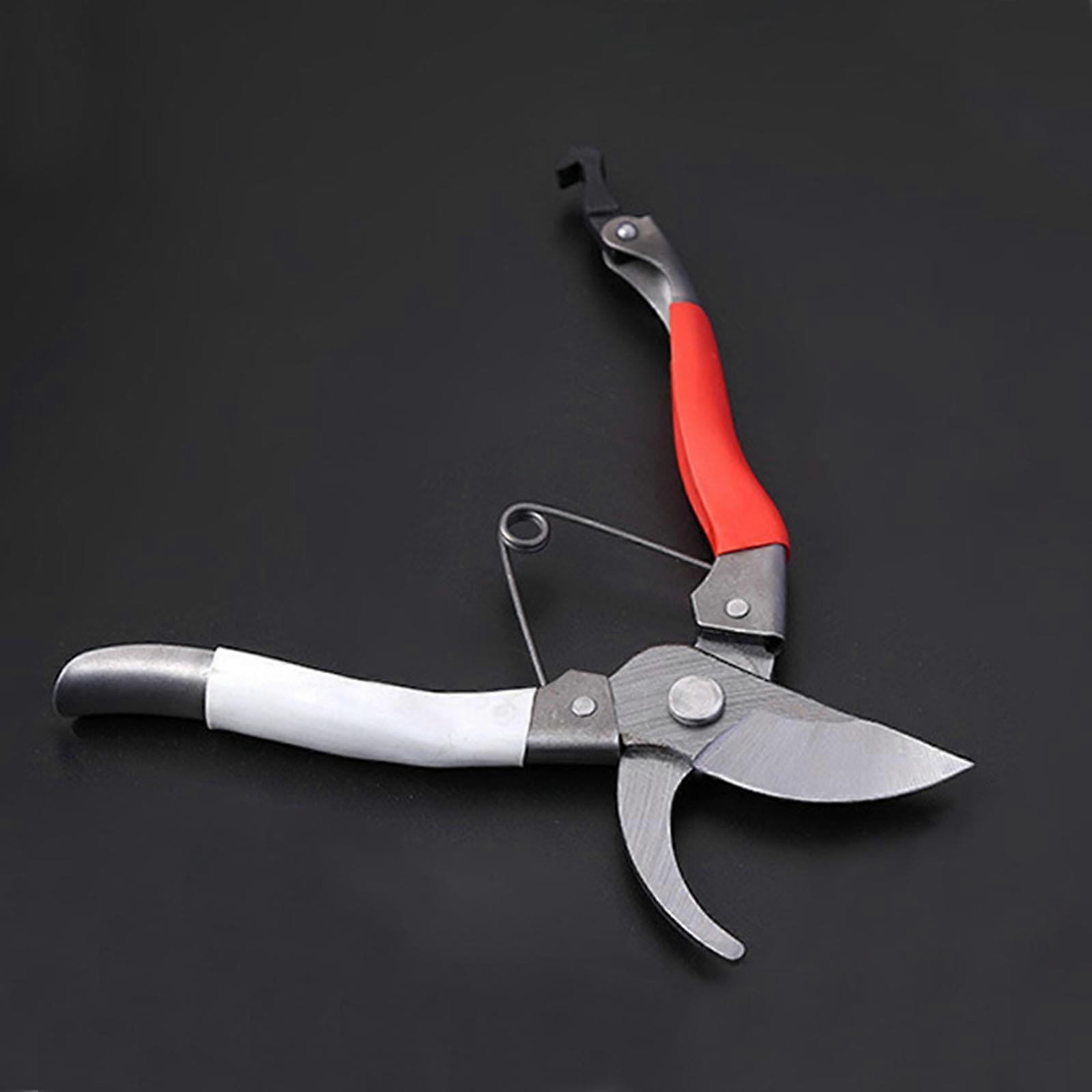 Garden Tools Pruning And Pruning Of Fruit Branches Gardening Scissors ...