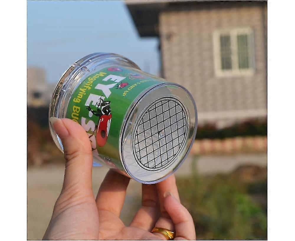 Insect Observation Magnifier Box Cup Spectator Experiment Education ...