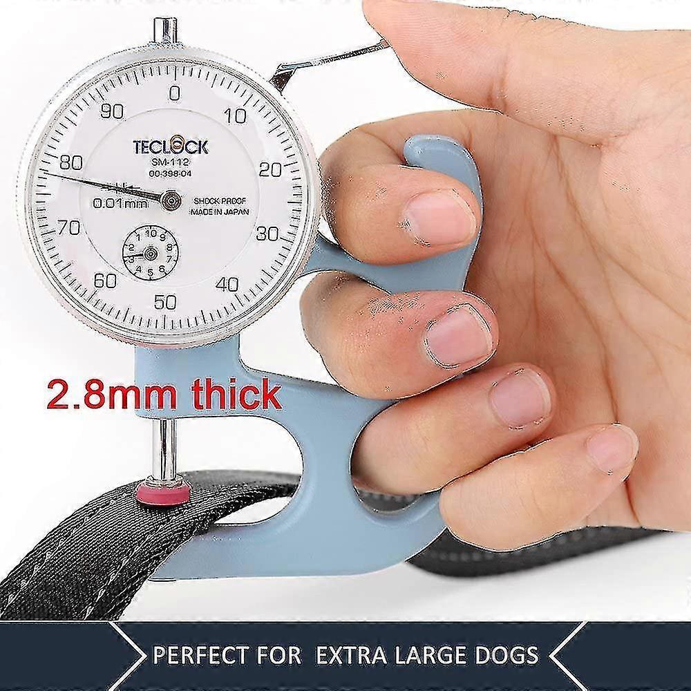 Pioneer Petcore Dog Lead 6ft Long,traffic Padded Two Handle,heavy Duty ...