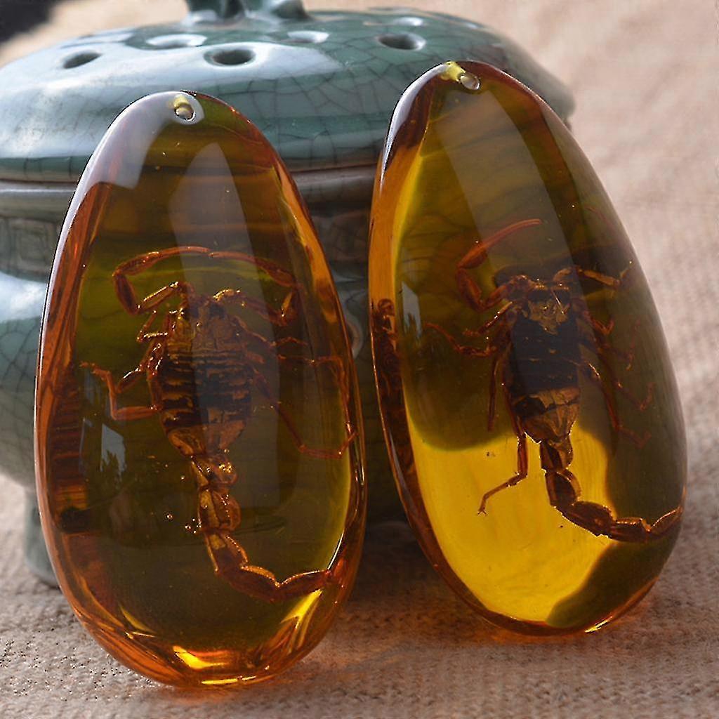Insect Amber Butterfly Scorpions Golden Clear Block Education Real ...