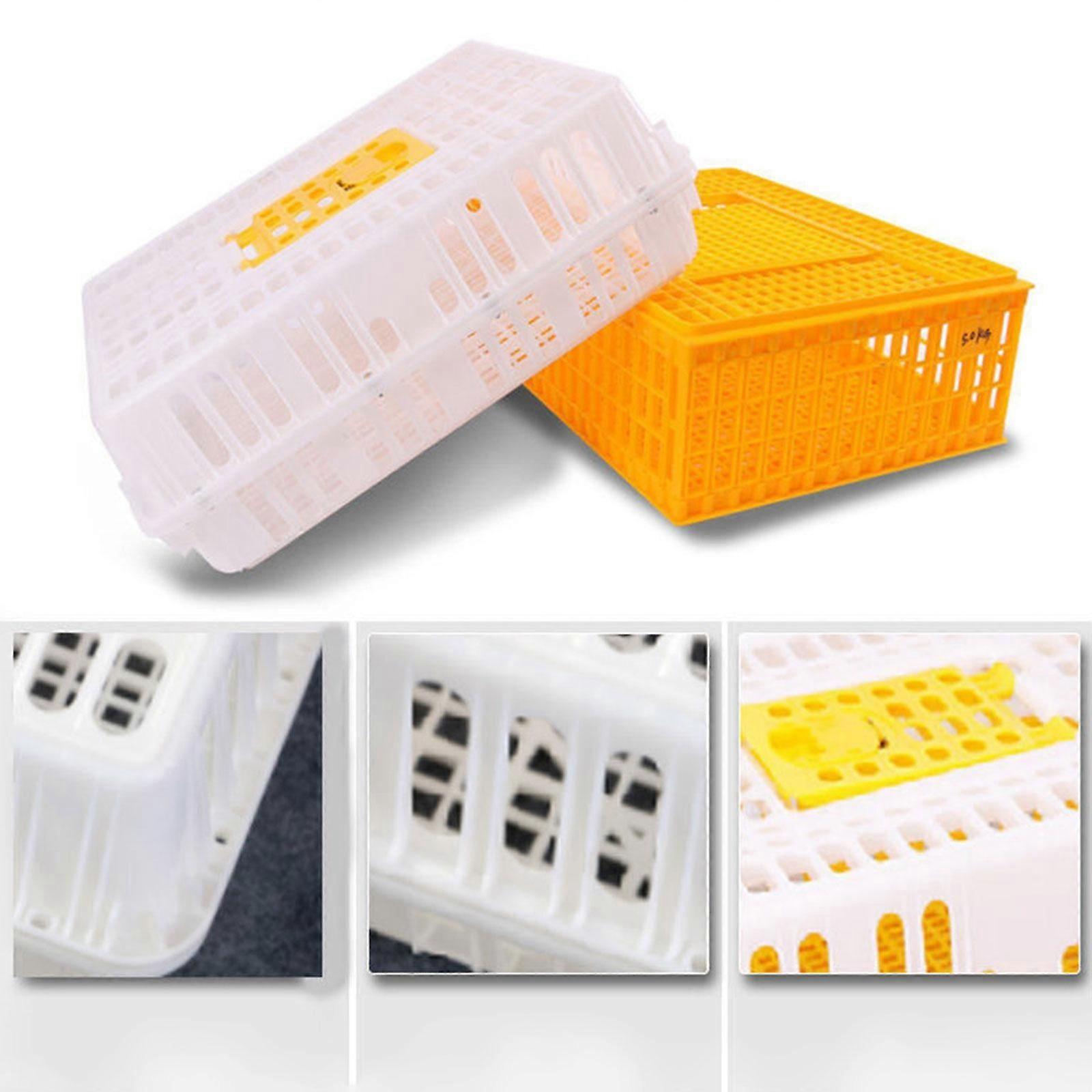 Poultry Carrier Crate Chicken Crate Transport Box for Hideaway Rutin ...