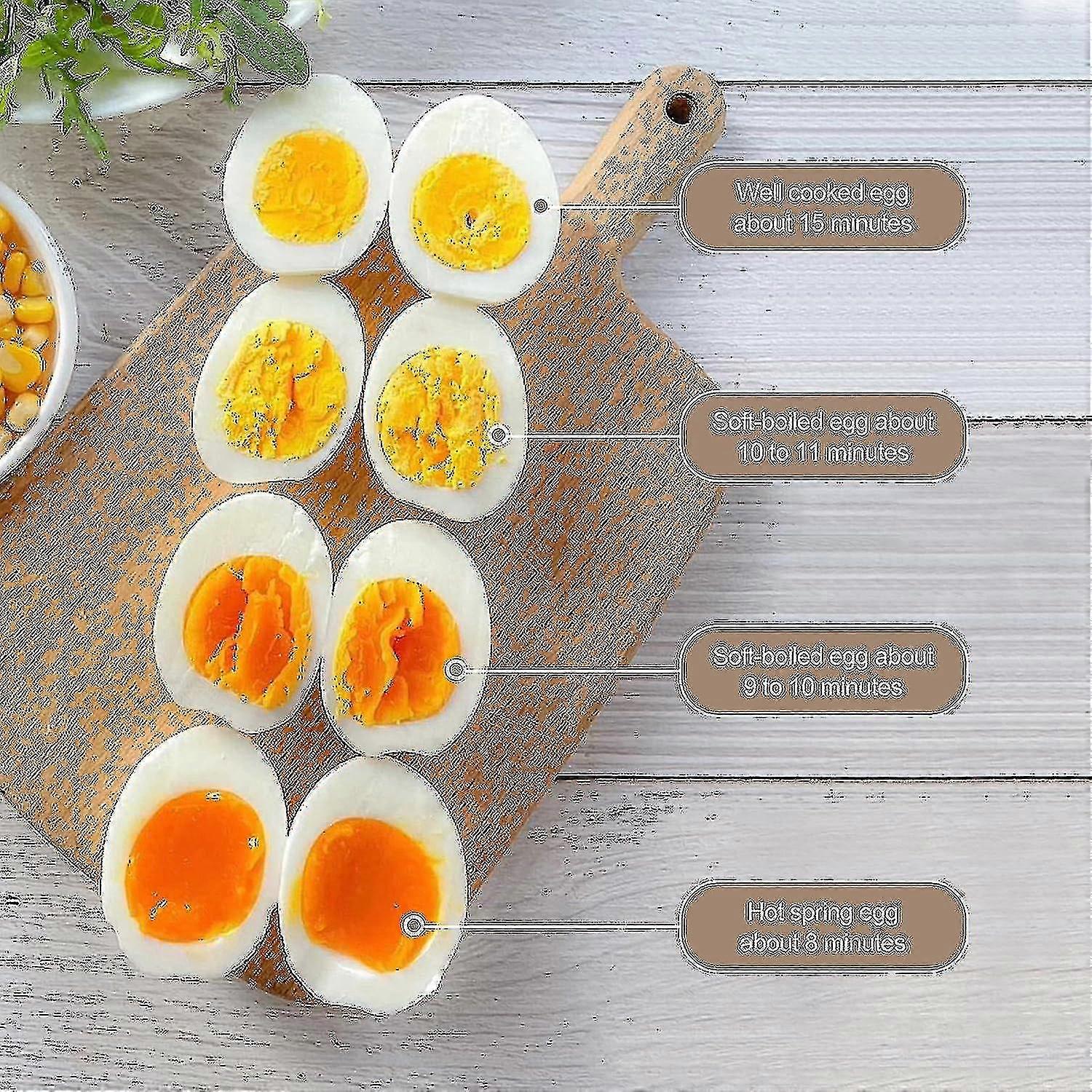 Egg Cooker 2 Eggs, Egg Steamer Compact Electric Egg Cooker, Best Egg Cooker Boils All Three ...