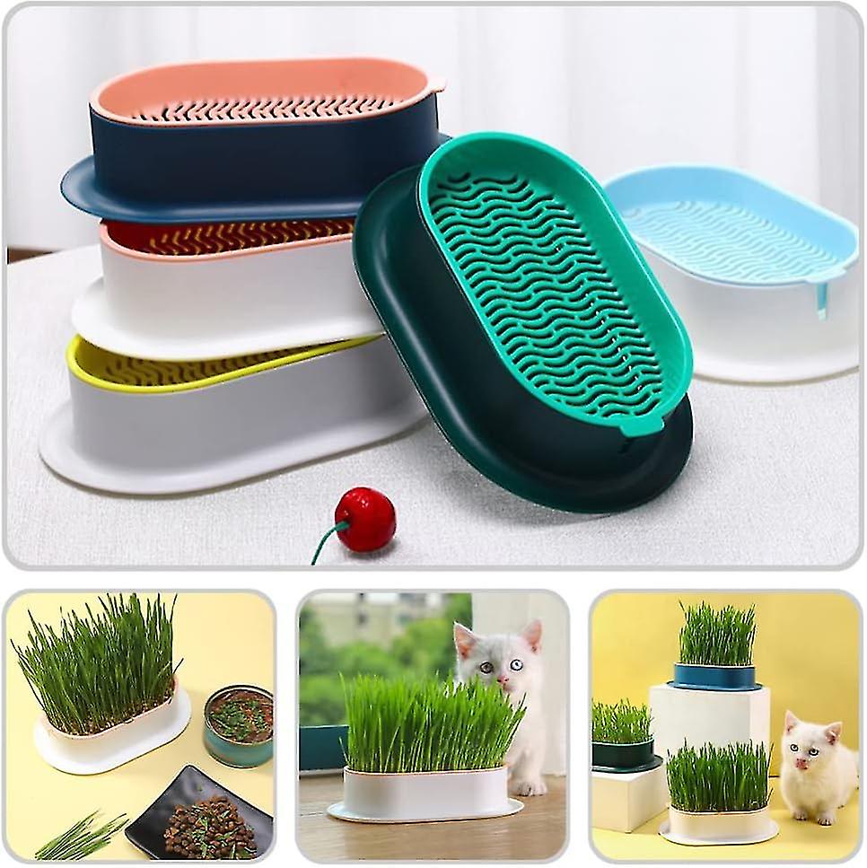3pcs Grass Growing Kit Window Garden Kit Hydroponic Grass Box Sprouter ...