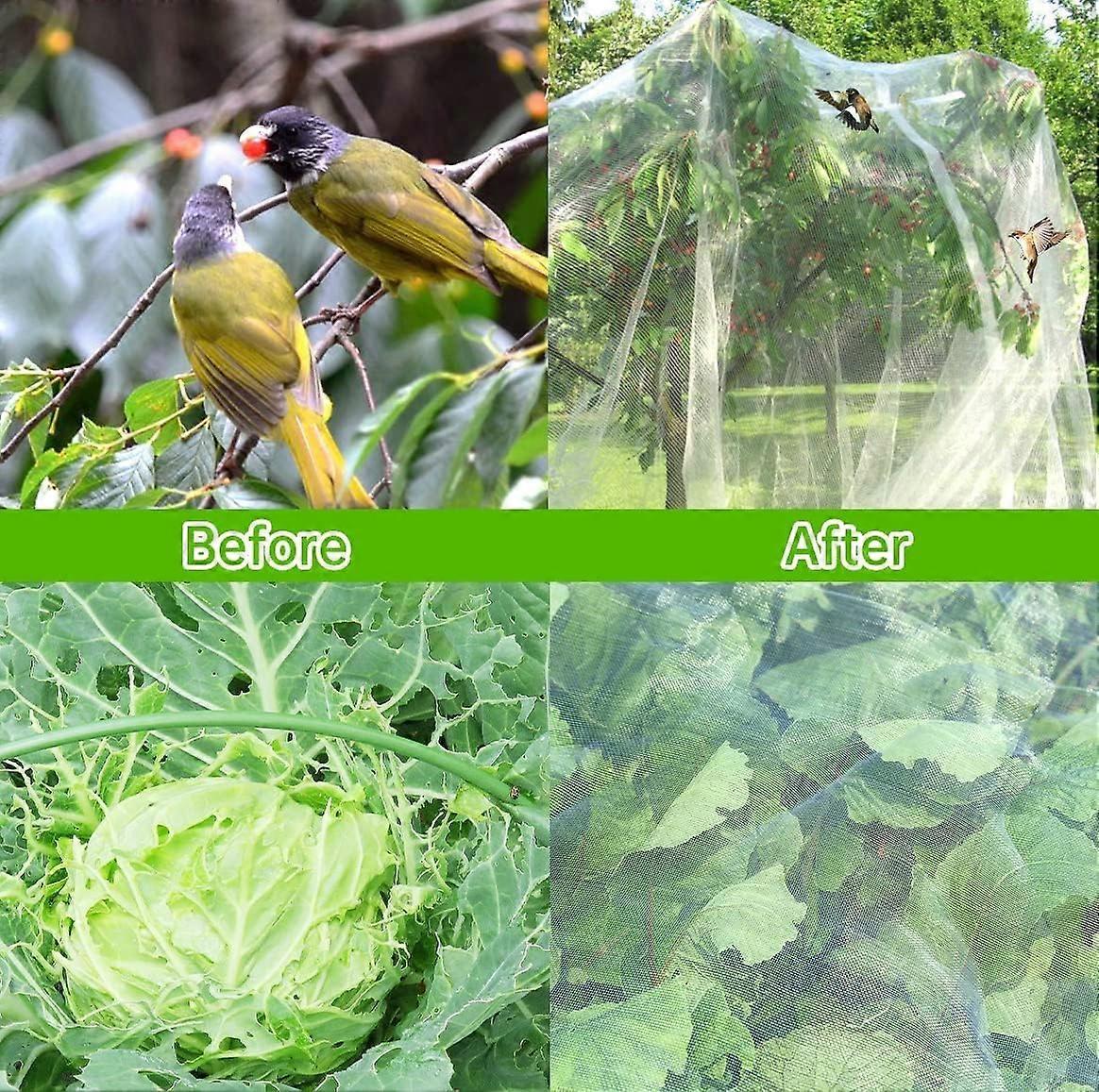 Garden Nets Insect Netting, Fine Mesh Protective Netting, Against Bird ...