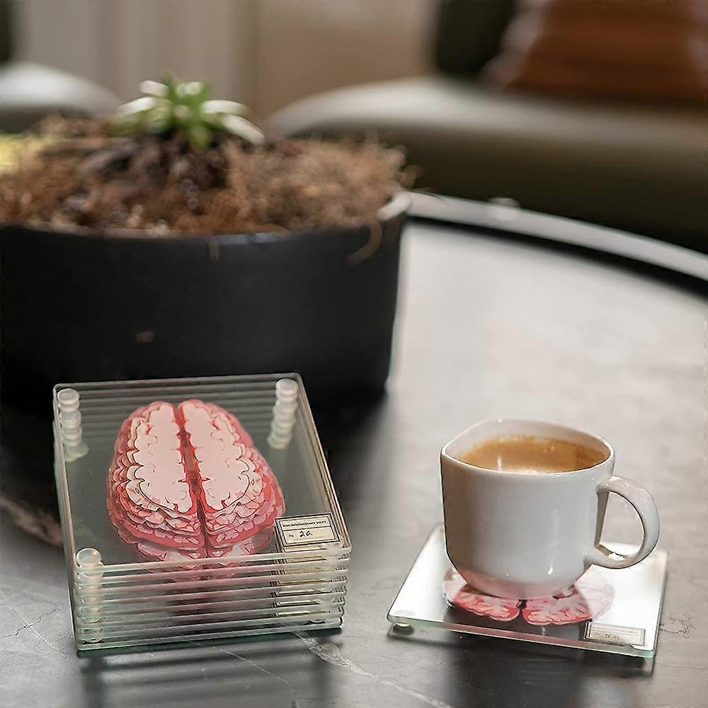 Anatomic Brain Specimen Coasters - Unique Medical Student Gifts - Human ...