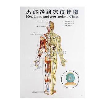 7pcs/set Acupuncture Massage Point Map Chinese&English Meridian ...