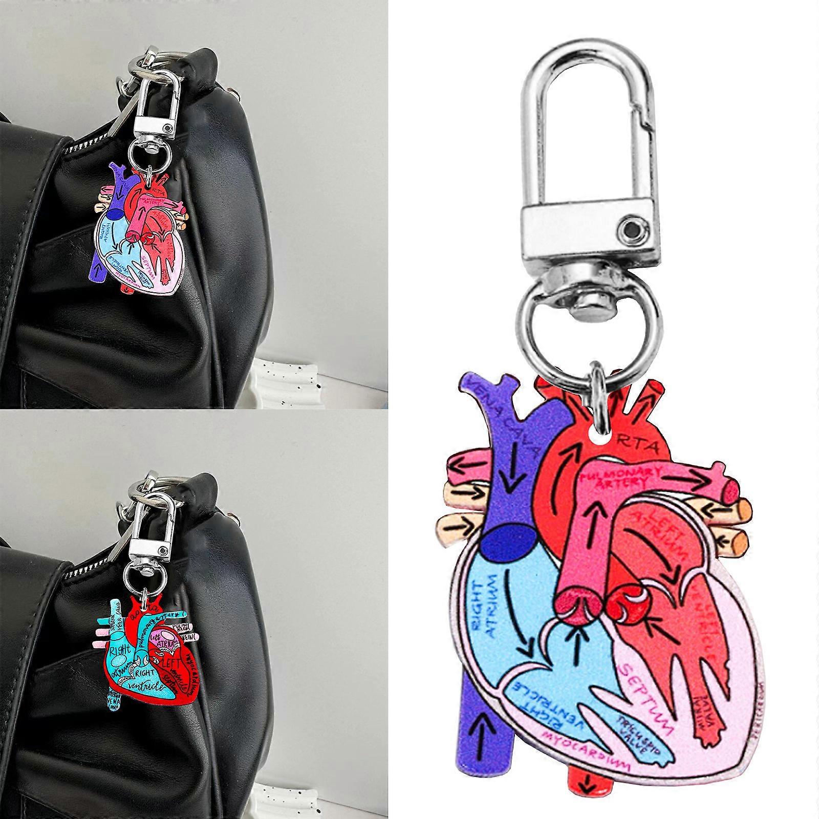 Anatomical Heart Keychain Pendant Educational Keyrings Accessory for ...