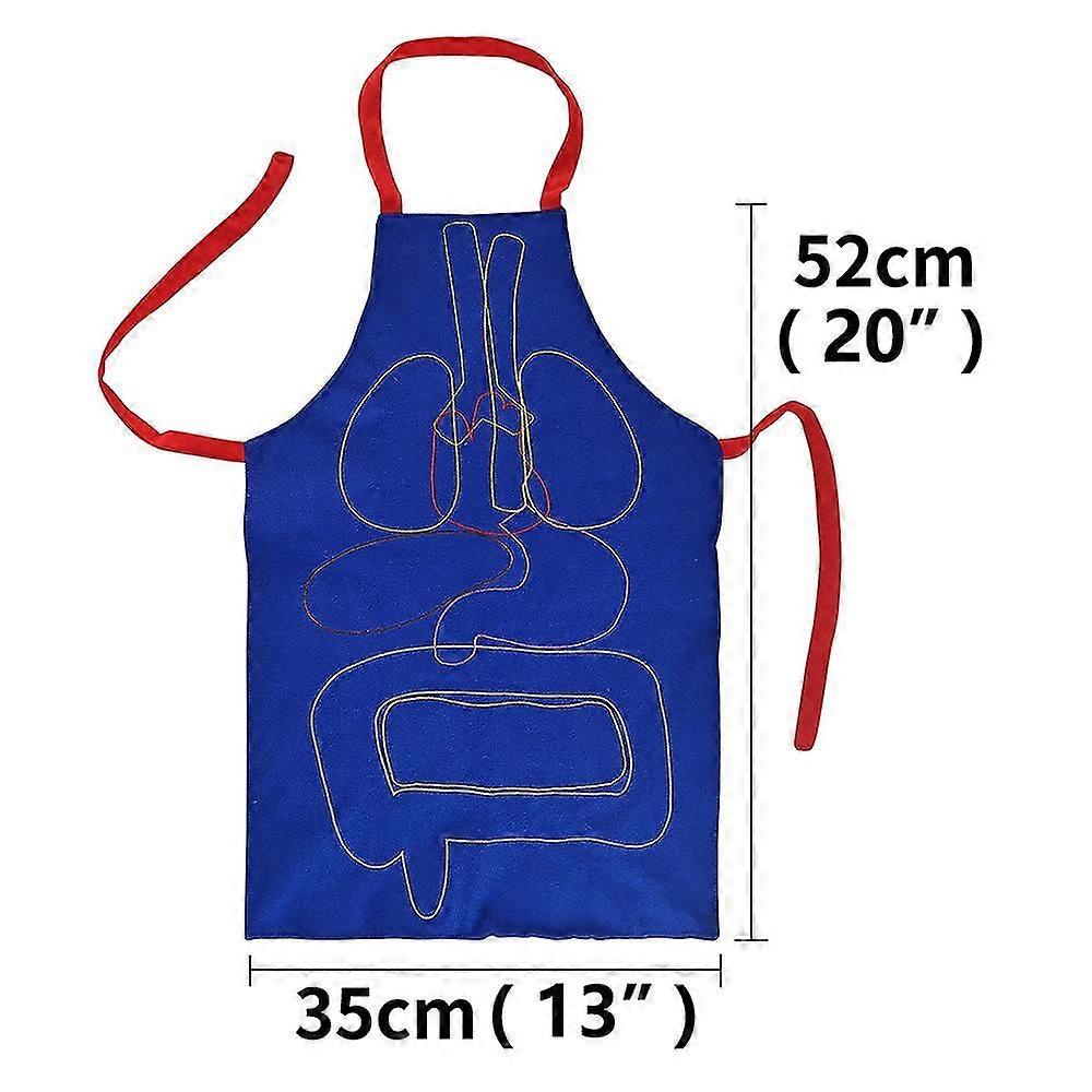 Organ Apron - An important organ apron way Compatible children to ...