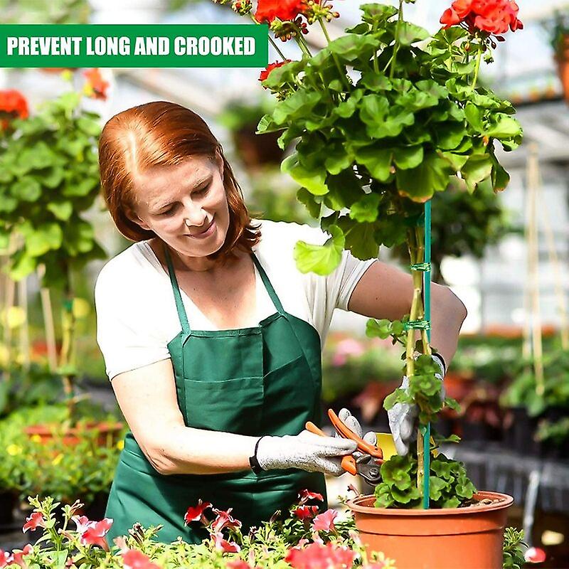 Green Wooden Climbing Plant Stake with Metal Ties Versailles Plant ...