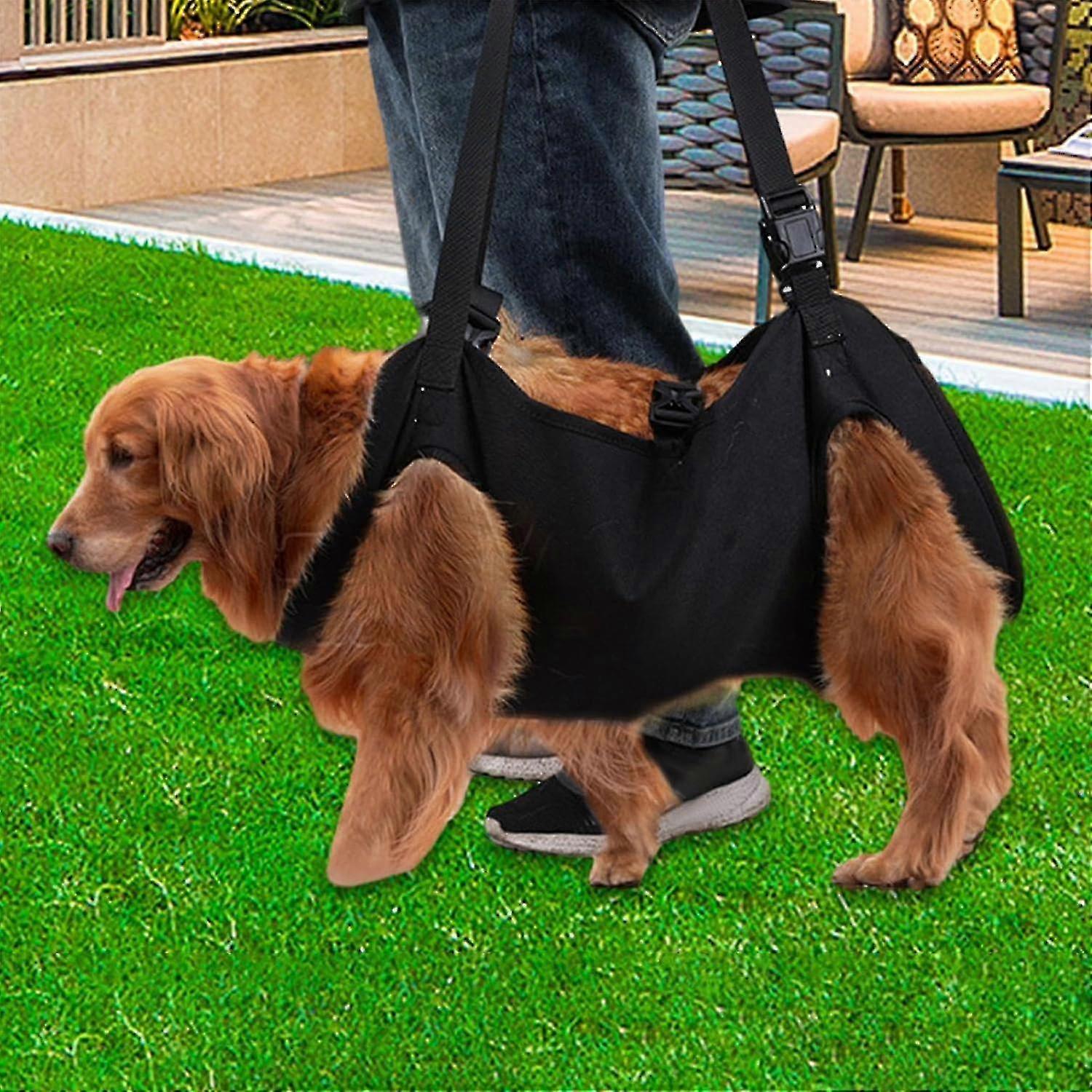 Dog Lift Harness, Adjustable Pet Walking Mobility Aid With Handles And ...