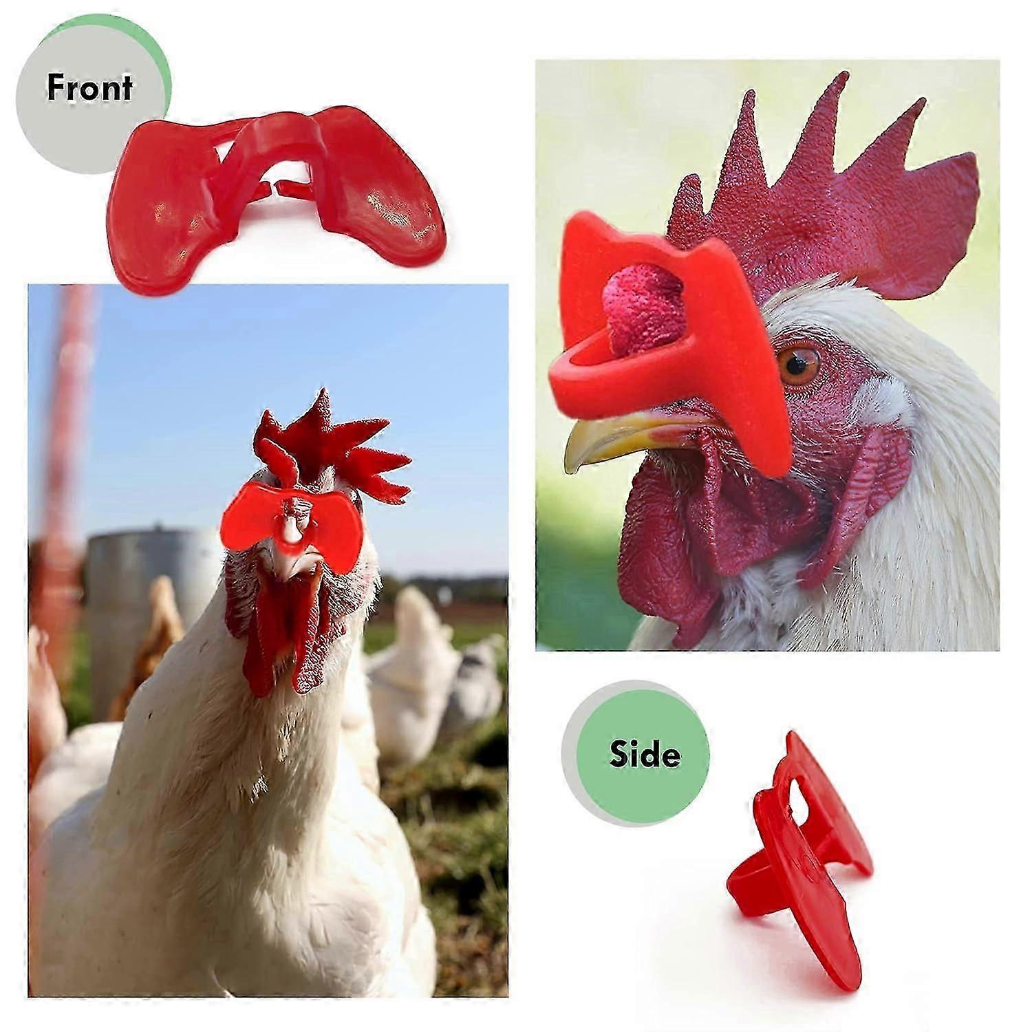 50 Pieces Chicken Goggles Chicken Eye Glasses Anti-Pecking Plastic ...