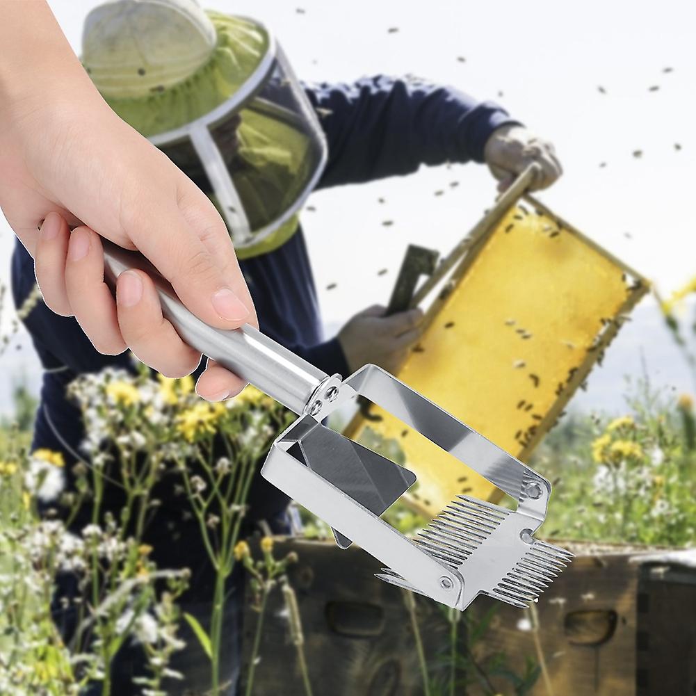 Double Needle Steel Beehive Uncapping Fork 9.4x3.0 Honey Scraper Tool ...