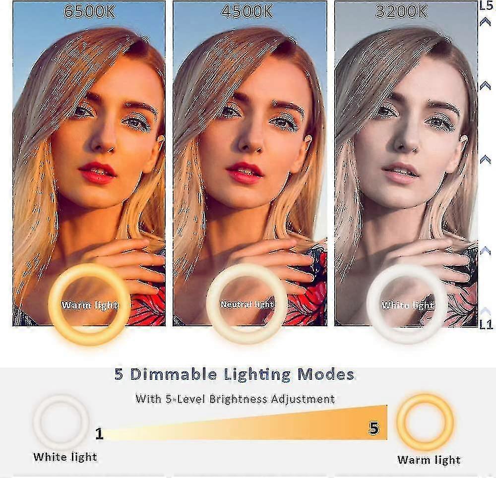 Video Conference Lighting Kit, Light For Monitor Clip On,for Remote ...