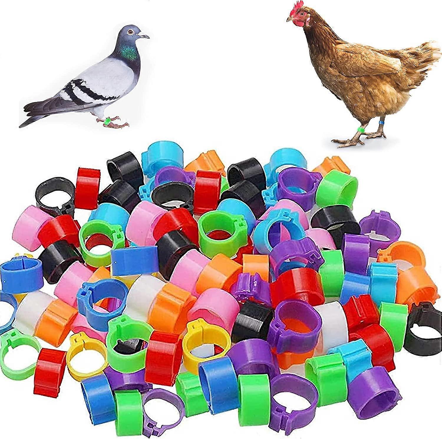 100pcs 10mm Poultry Clamp Rings Leg Rings ,10 Colors | Fruugo UK