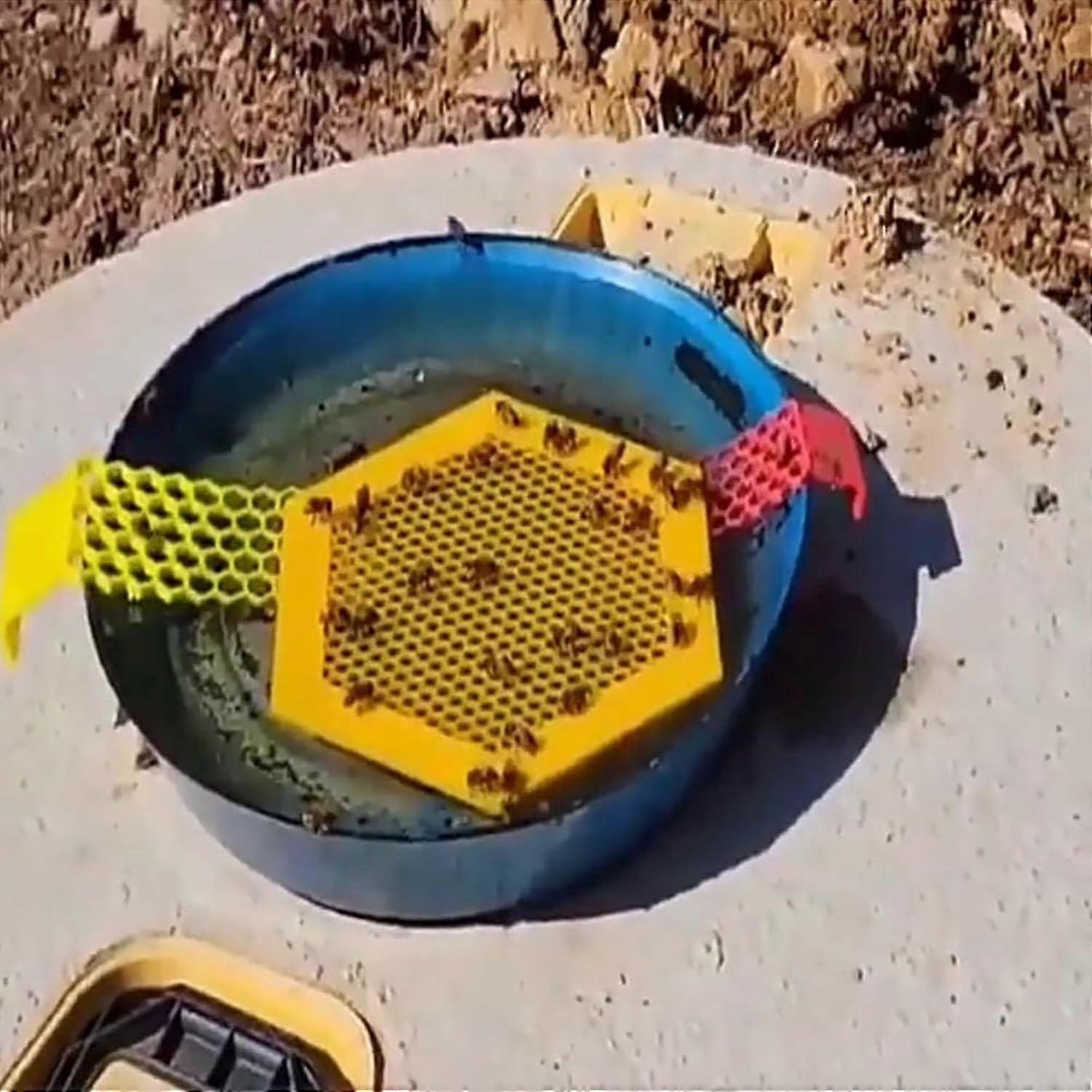 Floating Bee Island Use for Bee Cups for Garden, Colorful Bee Insect ...