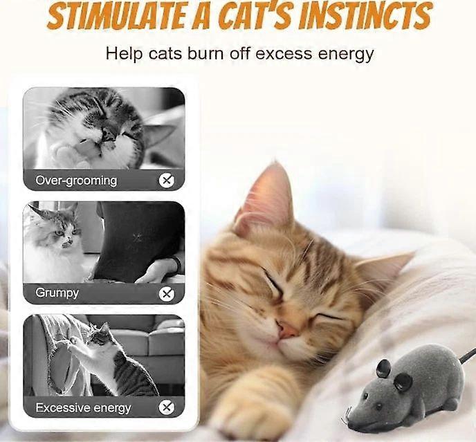 Interactive Automatic Moving Mouse Toys with Squeaky Sound,Interactive ...