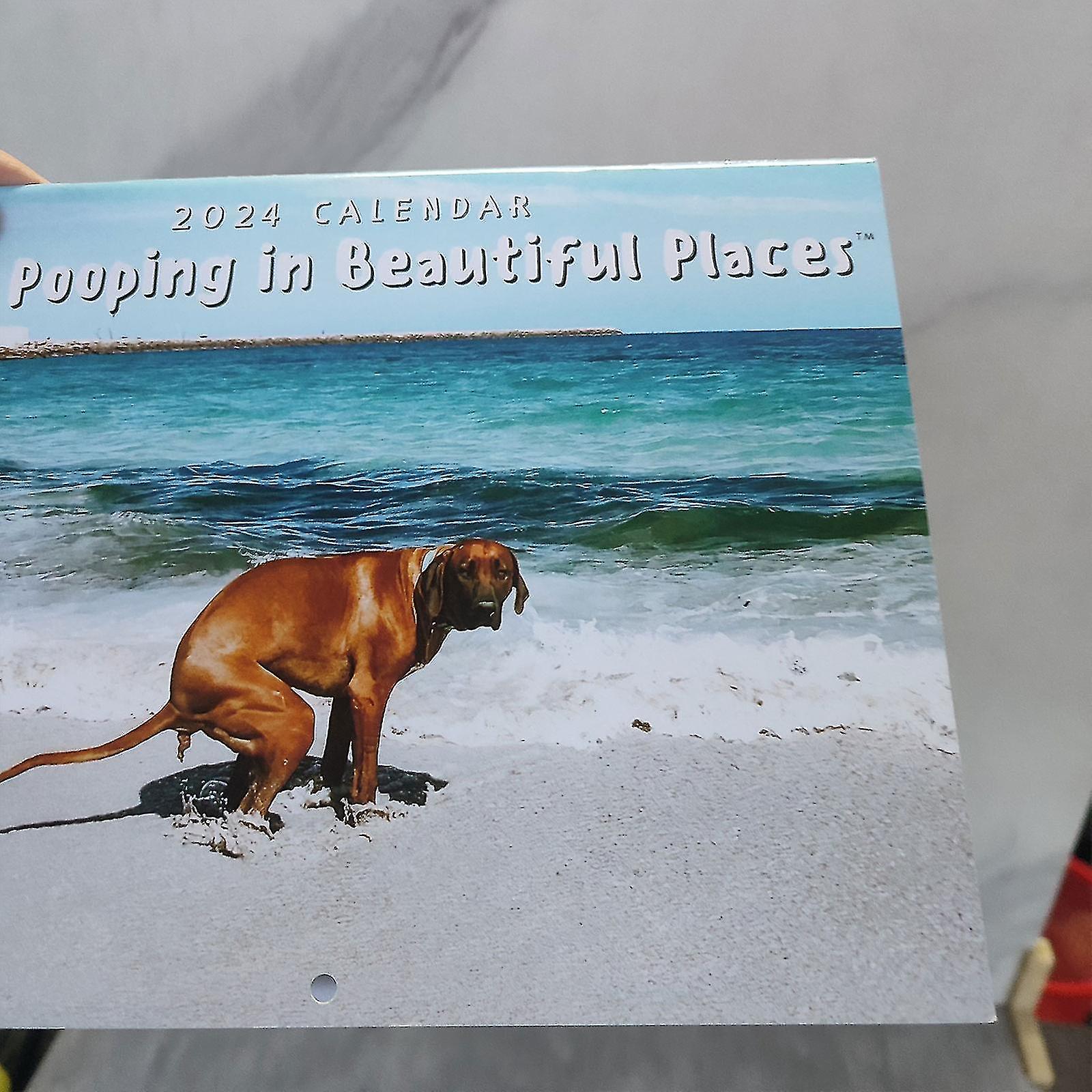 2024 Pooping Dogs Calendar, Dog Pooping In Beautiful Places Calendar ...