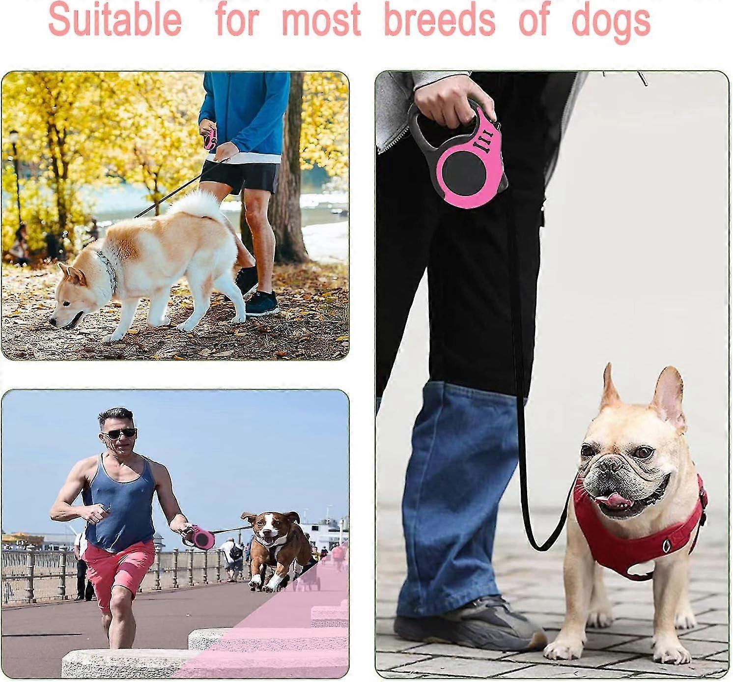 Retractable Dog Leash, 5m Durable Nylon Pet Leash With Non-slip Handle ...