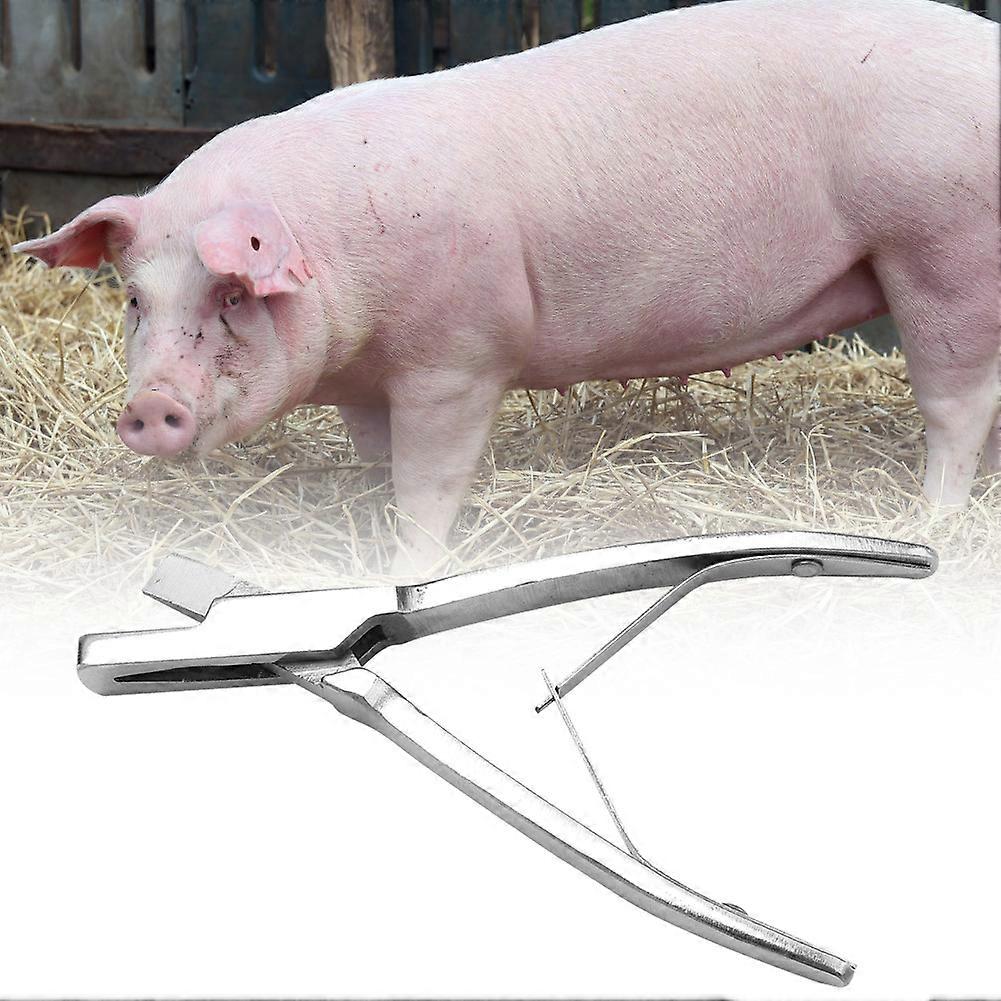 Stainless Steel Pig Ear Tag Plier Pig Equipment Farm Animals (V Shaped ...