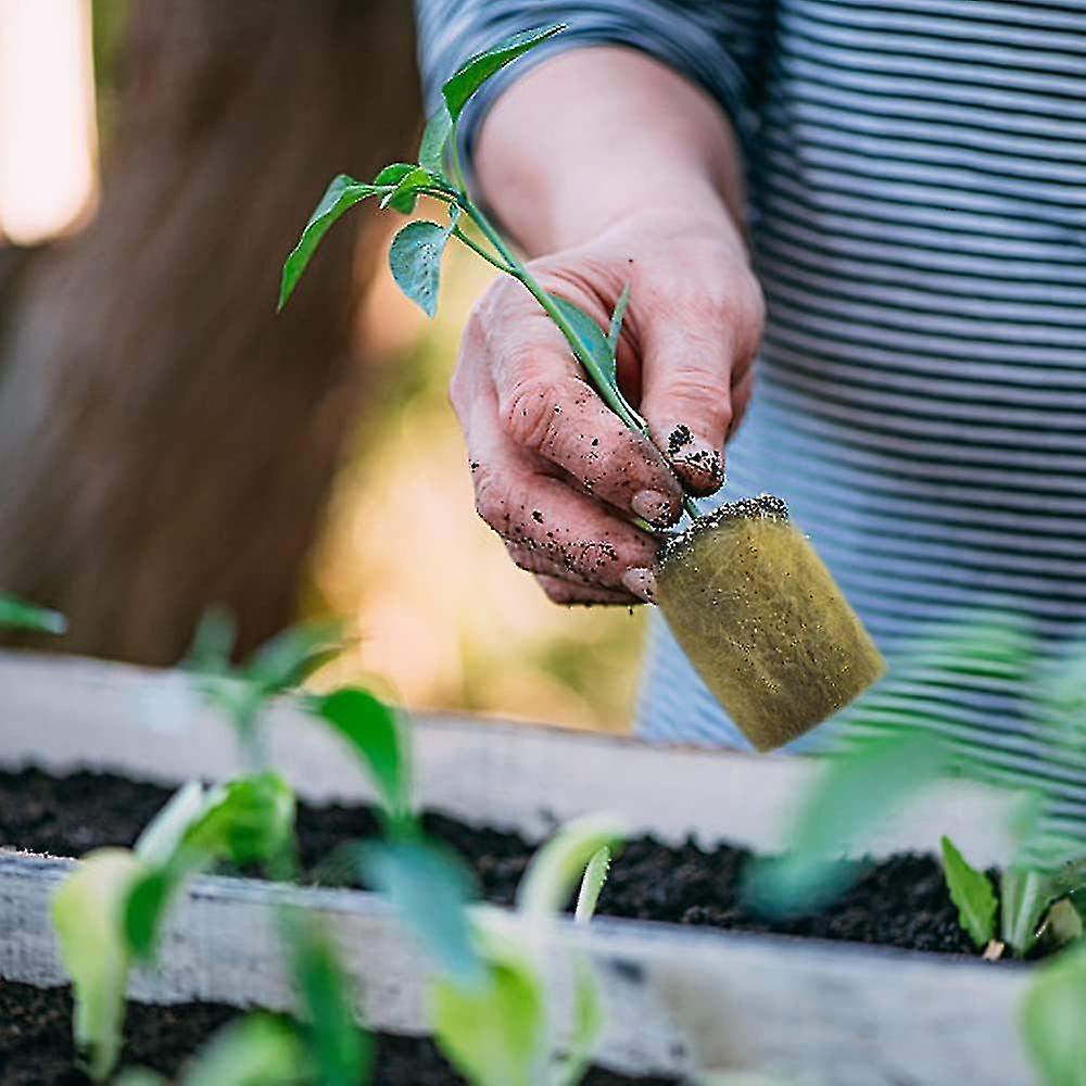 Rockwool Starter Plugs Garden Rockwool Cube, Soilless Culture Starter ...