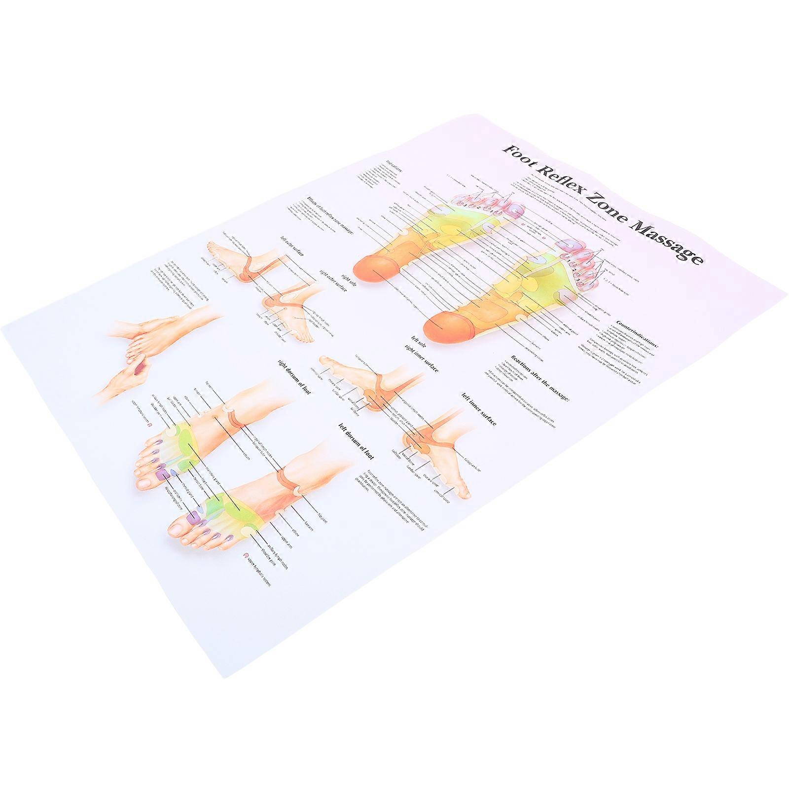 Foot Reflexology Chart Poster Massage Knowledge Poster Wall Art Home ...