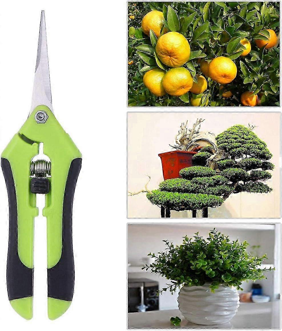 2 Pack Professional Stainless Steel Gardening Manual Pruning Scissors ...