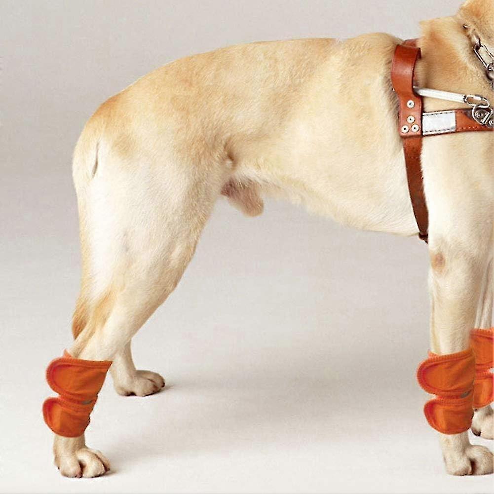 Dog Knee Brace 1 Pair, Dog Injuries Leg Brace Self-heating For Luxating ...