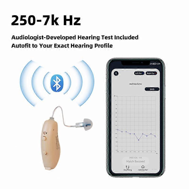 A Pair of 12-channel AcoSound Hearing AIDS Mini Digital RIC Hearing Aid ...