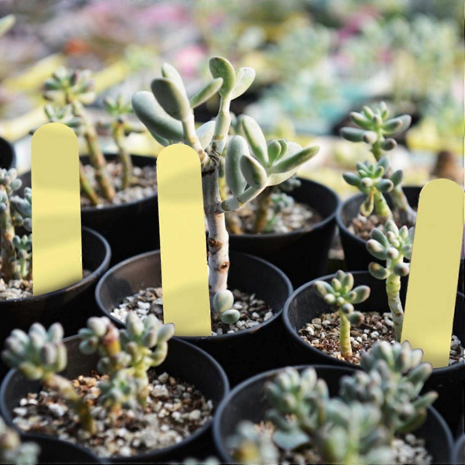 100 Pieces Nursery Seed Label, Durable PVC Plant Tags Garden Labels ...