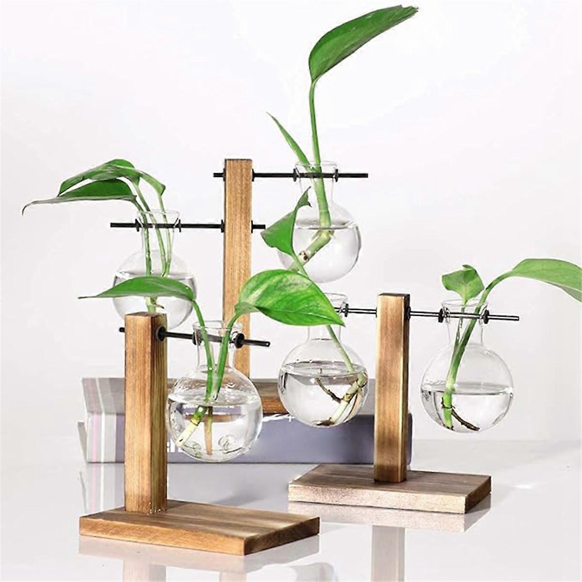 A Plant Propagation Stations Desktop Plant Terrarium | Fruugo AU