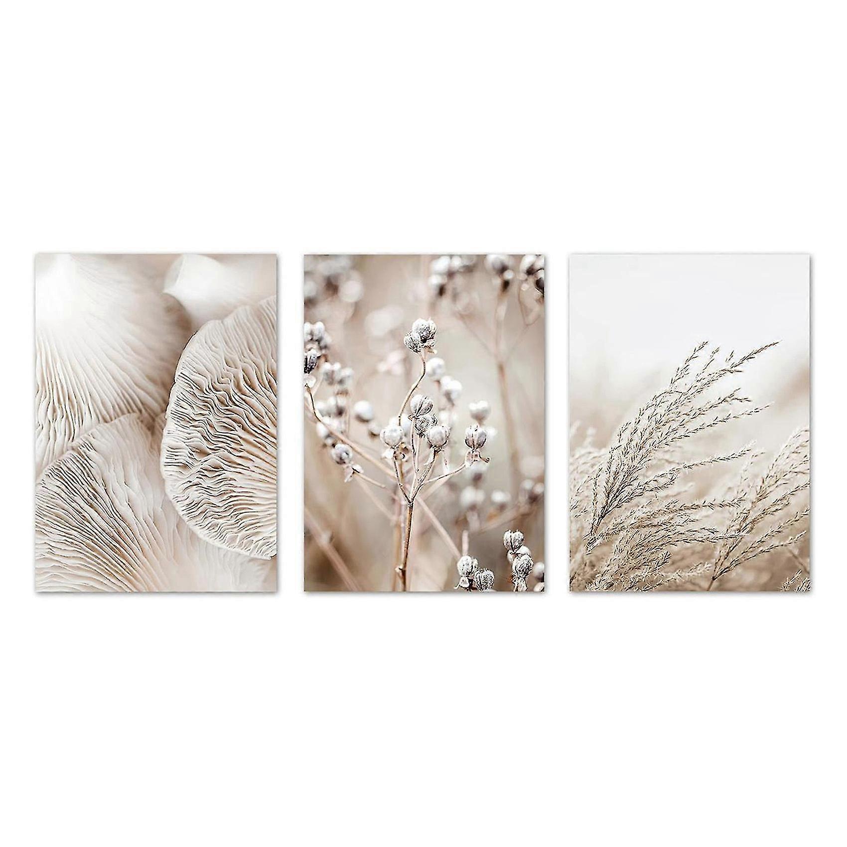 1 Set Of 3 Poster Set Wall Pictures Boho Nature Pampas Grass Art Poster ...