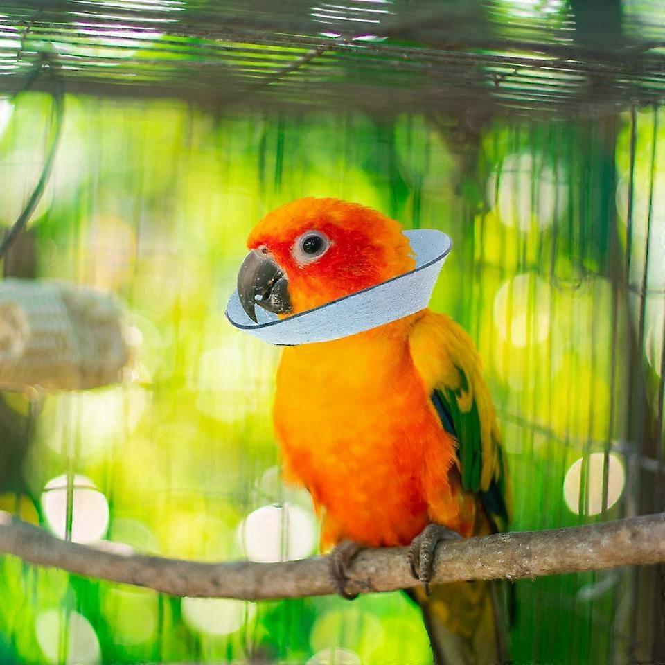 African Grey Parrot Bird Collar, Anti-biting Protective Neck ...