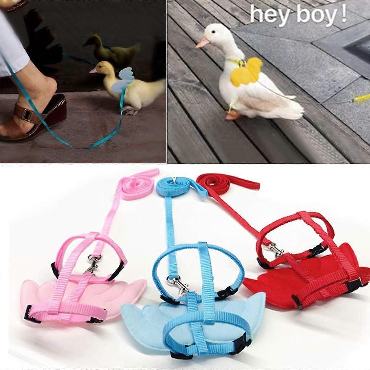 Pet Cole Duck Outside Walking Harness Leash, Adjustable Outdoor ...