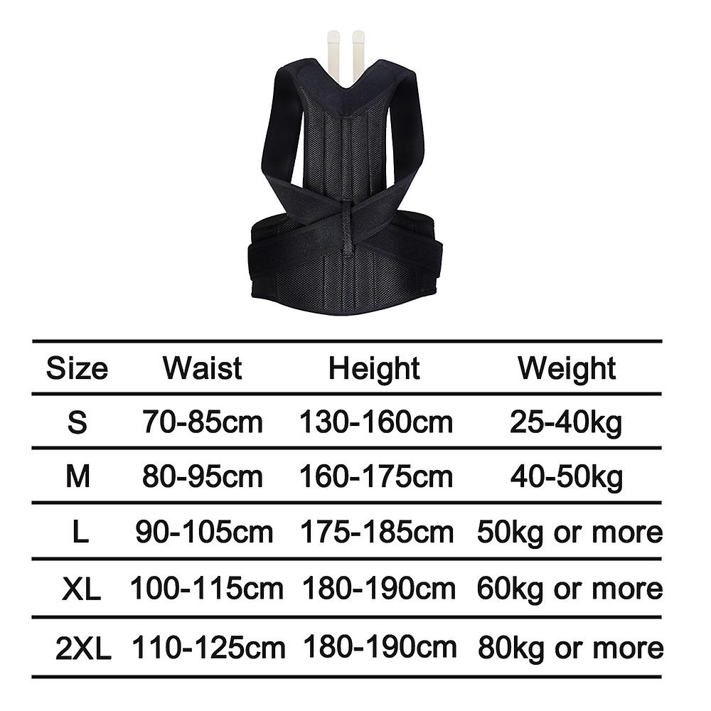 Ba Br Posture Corrector For Women And Men Ba Lumbar Support Shoulder ...