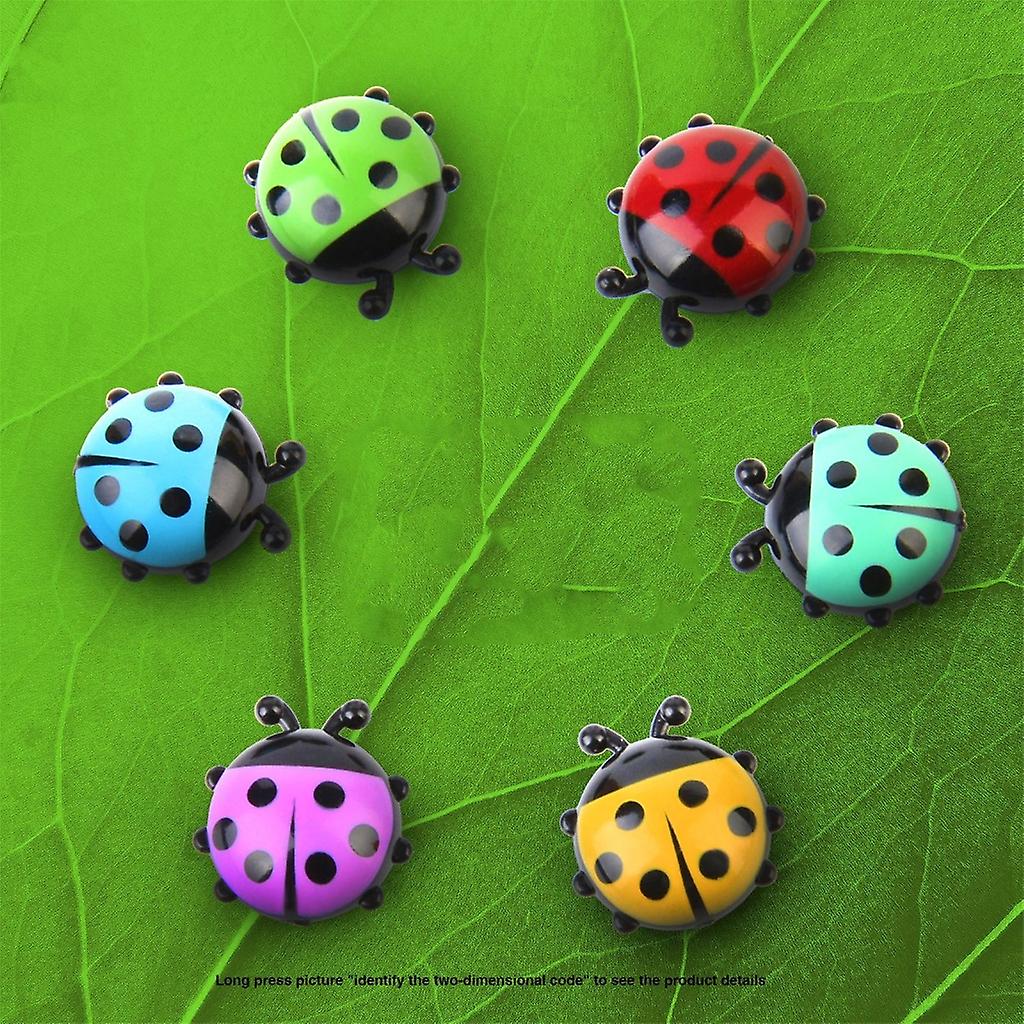 Set of 6 Ladybug Fridge Magnet Refrigerator Magnetic Stickers 3D Cute ...