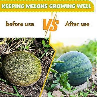 50 Pcs Melon Cradle Plastic Melon Cradles Watermelon Holder For Garden ...