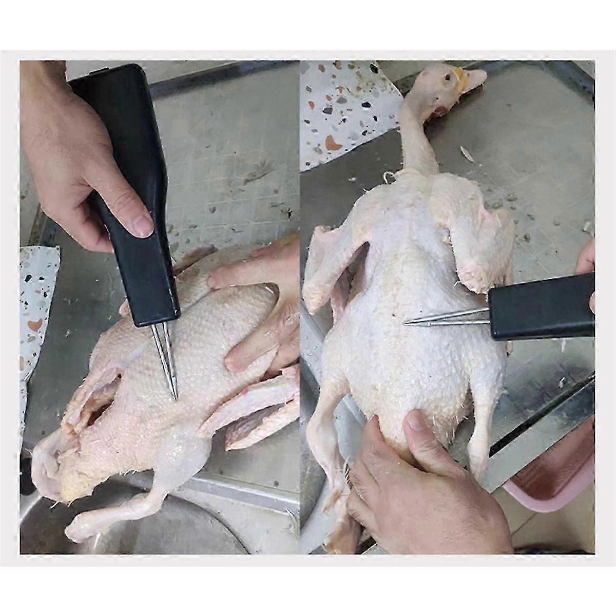 Chicken Plucker Machine Electric Poultry Plucker Handheld Portable ...