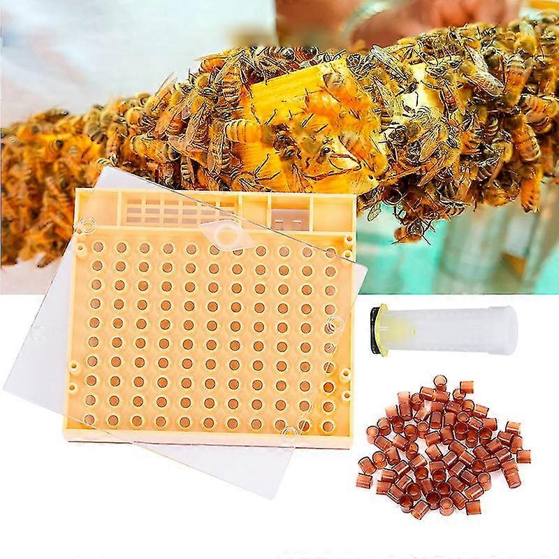 Essential Beekeeping Equipment Kit Queen Rearing for Beekeeping ...