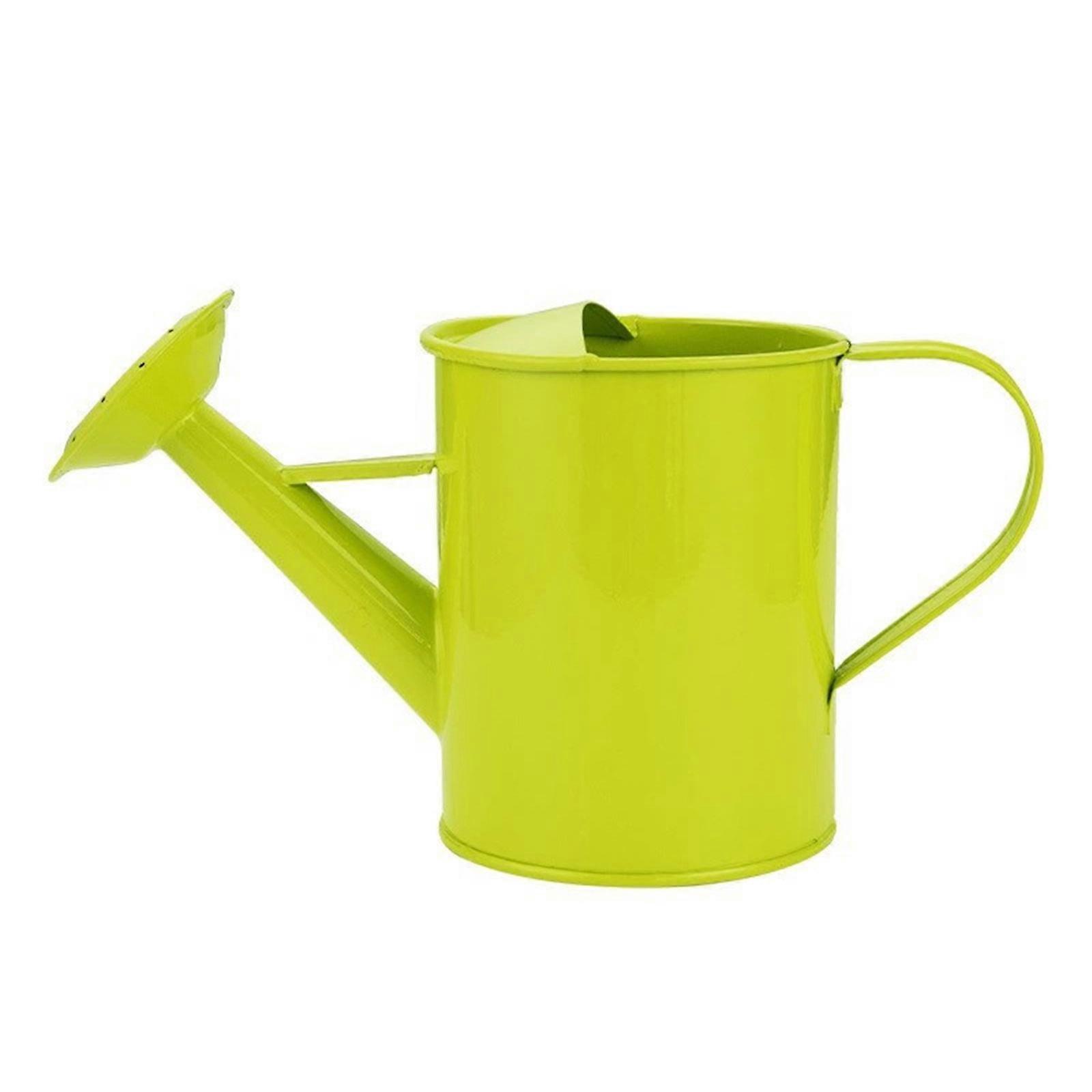 Iron Watering Can 20oz Wide Spout Watering Pot Ergonomic Handle Design ...